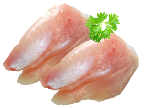 Mirror Dory Fillets 2Kg - Fish & Seafood Suppliers Online NZ | Fresh ...